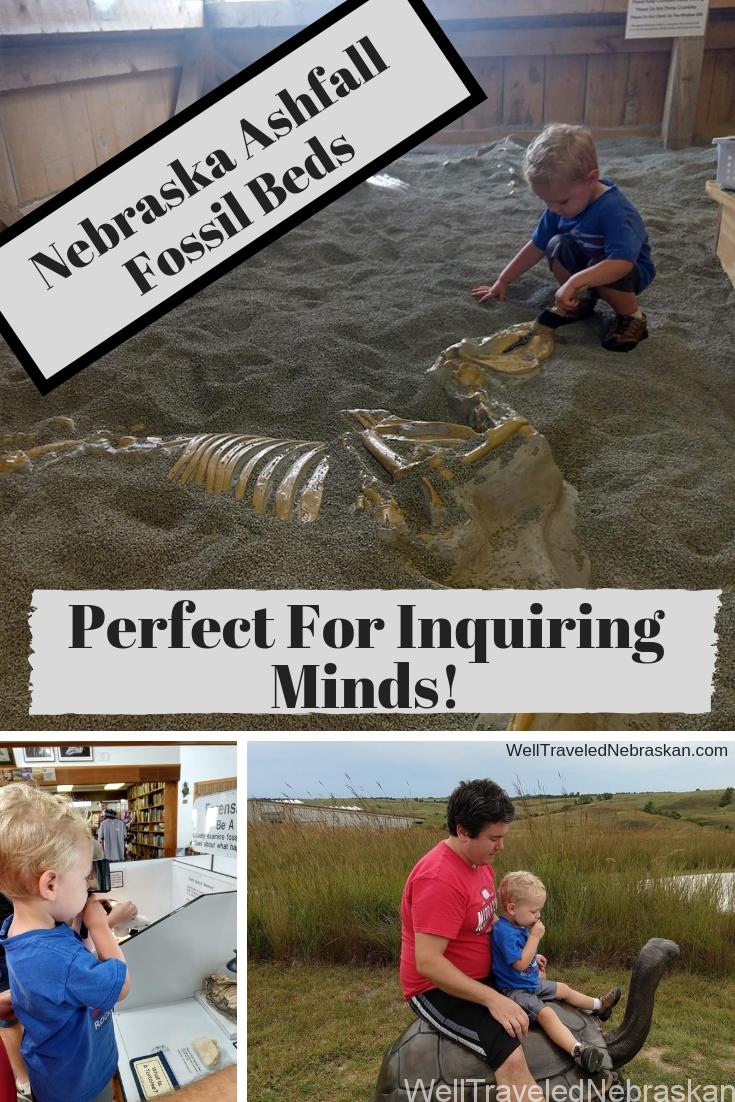 Ashfall Fossil Beds State Historical Park: A Nebraskan "Pompeii" Story ...