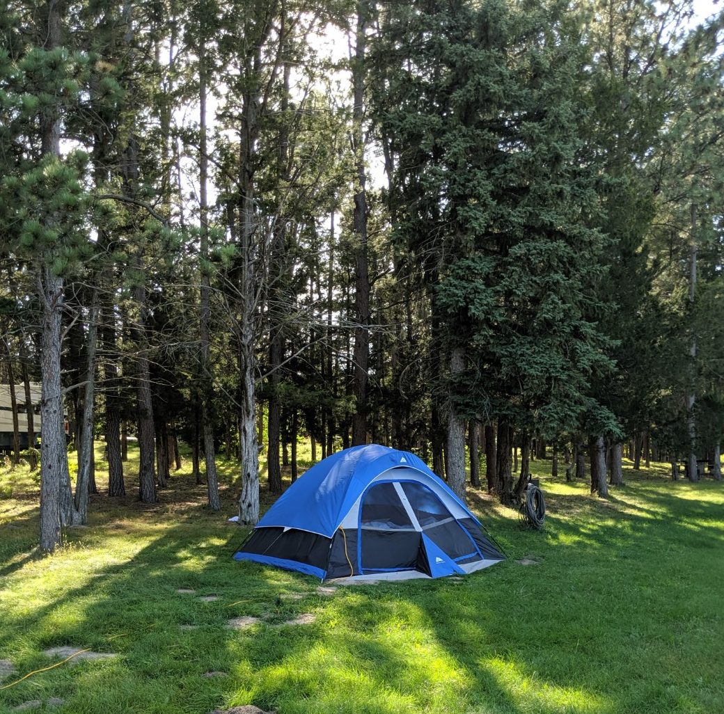 Should You Visit The Halsey Nebraska National Forest - Well Traveled ...