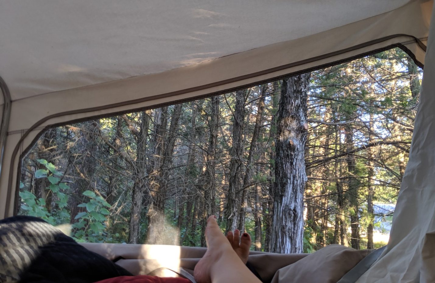 Should You Visit The Halsey Nebraska National Forest - Well Traveled ...